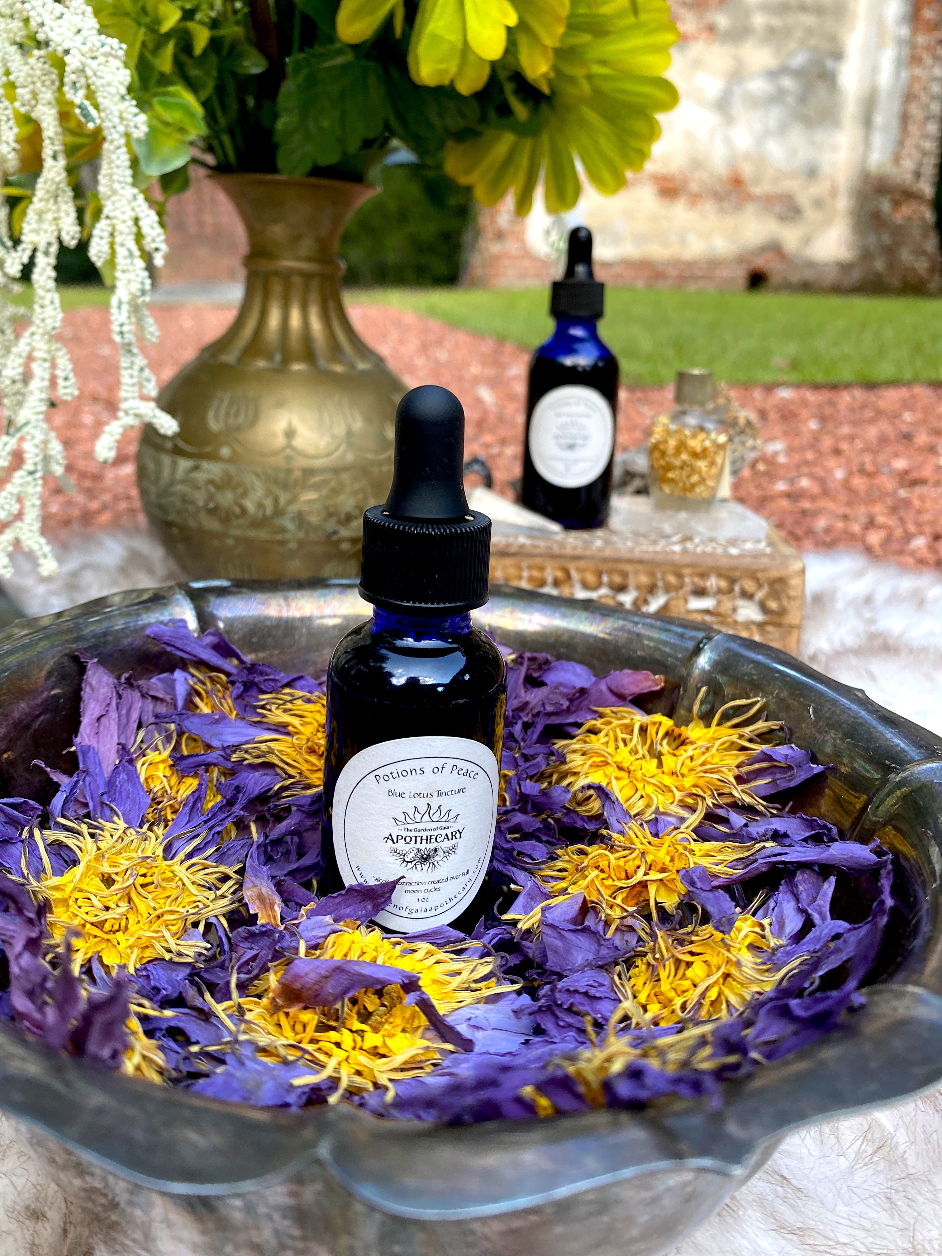 Blue Water Lily Tincture – The Garden of Gaia Apothecary